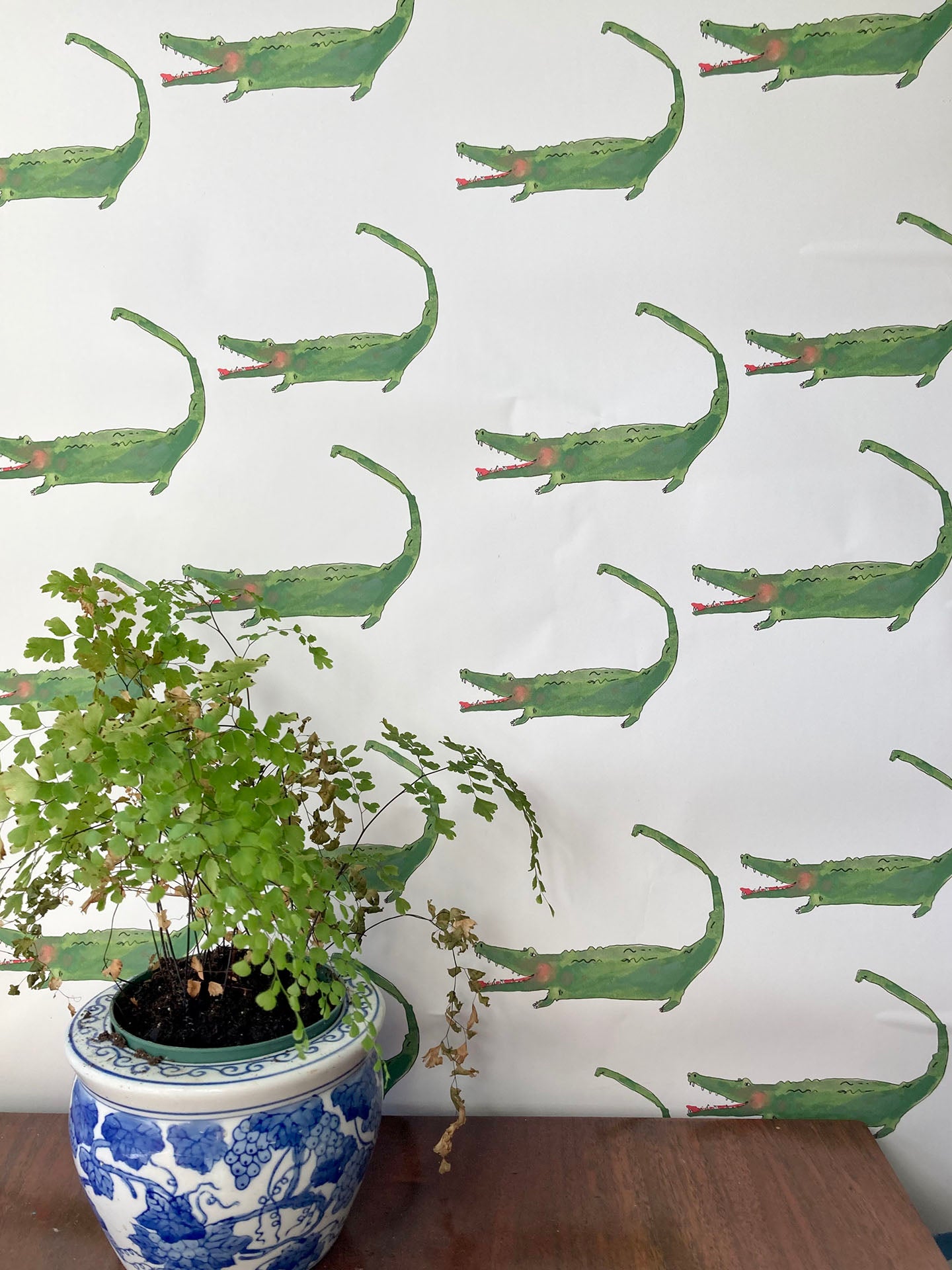 Alligator Wallpaper – ELIZABETH GRAEBER